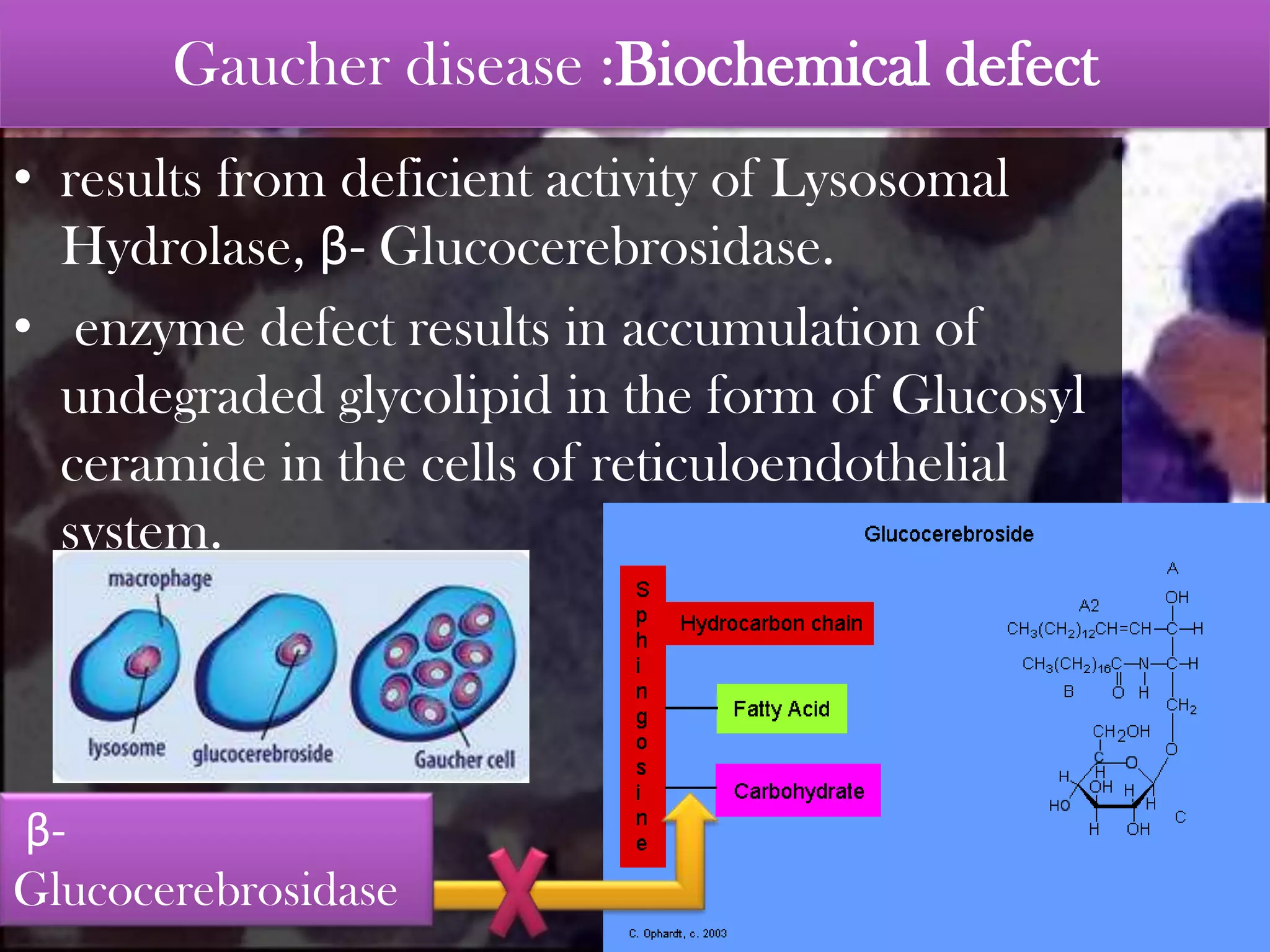 Lipid storage diseases | PPTX
