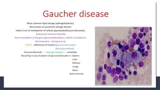 lipid storage disease , biochemistry ppt | PPTX