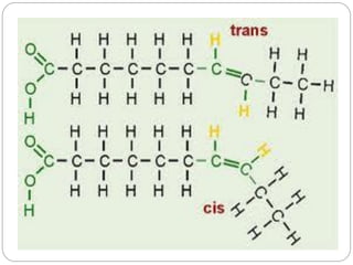 Lipid Structure and Function Biochemistry | PDF