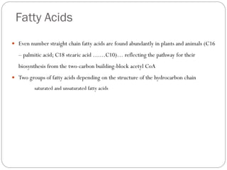 Lipid Structure and Function Biochemistry | PDF