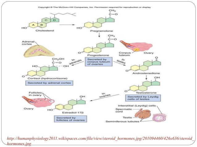 Lipid Structure and Function Biochemistry | PDF