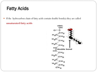 Lipid Structure and Function Biochemistry | PDF