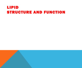Lipid structure and metabolism copy (2)biotech | PPT
