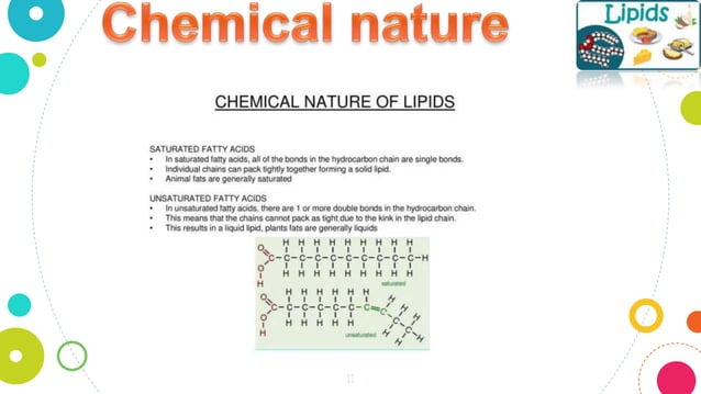 LIPIDS UNIT ONE BIOMOLECULE PRESENTATION | PPT
