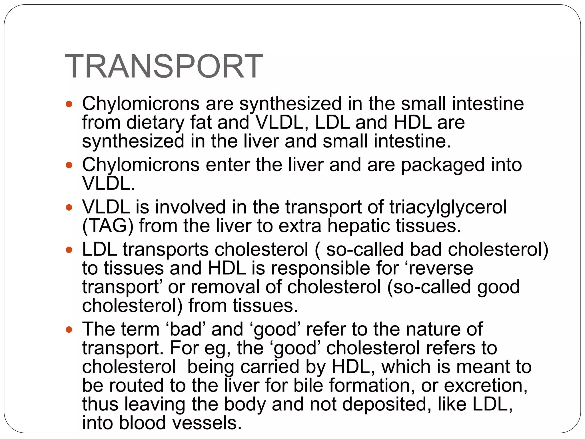 Lipid synthesis and transport | PPTX
