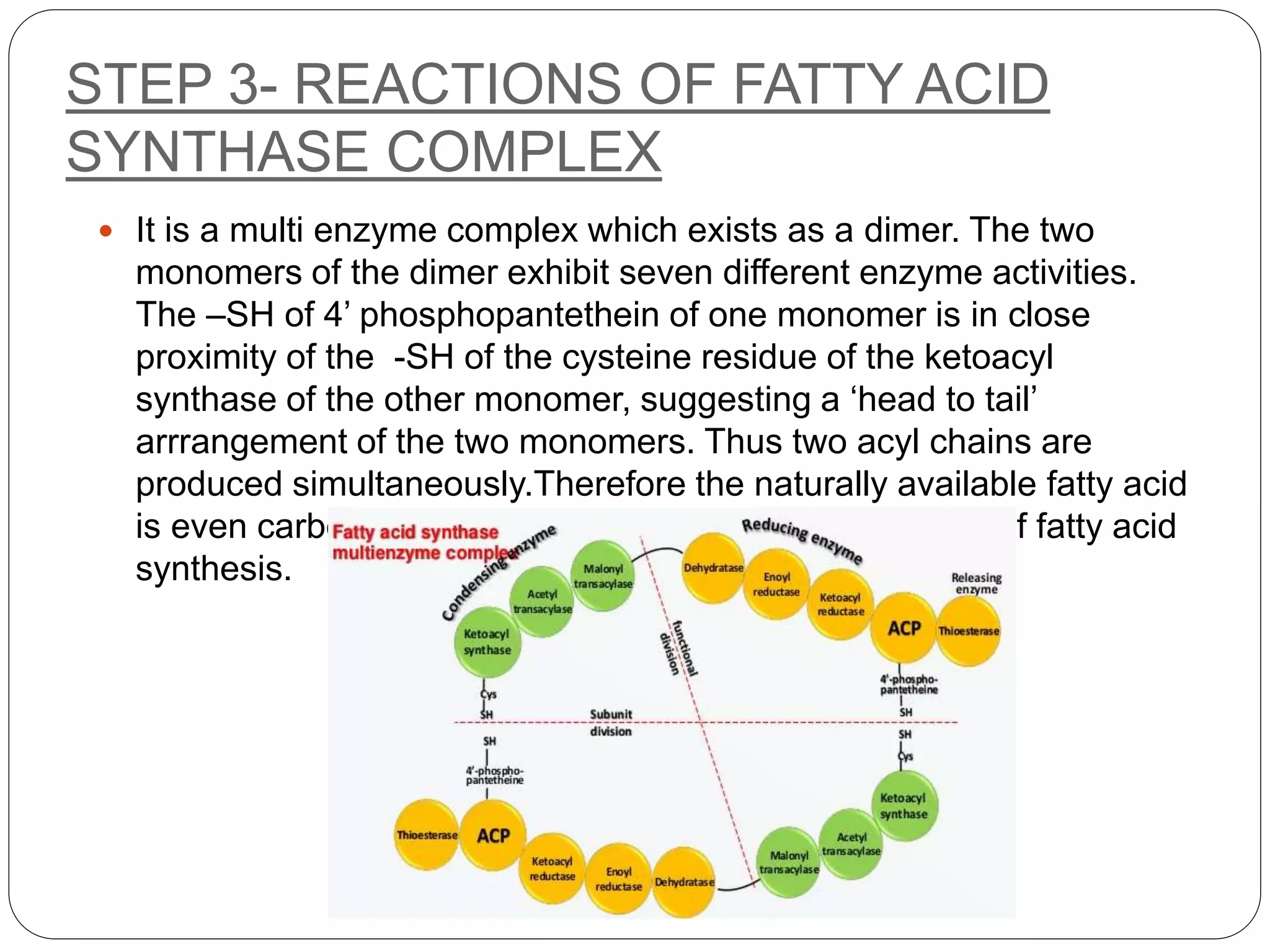 Lipid synthesis and transport | PPTX