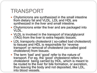 Lipid synthesis and transport | PPTX