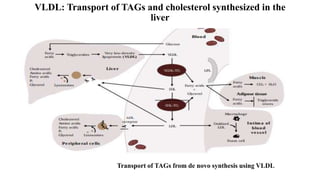 LIPID TRANSPORT.pptx