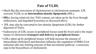 LIPID TRANSPORT.pptx