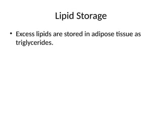 Lipid_Transport_Storage_Presentation.pptx