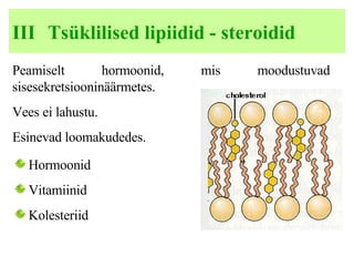 Lipiidi ehk rasvad | PPT
