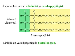 Lipiidi ehk rasvad | PPT