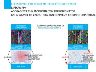 Lipikar stick ap+ | PPTX