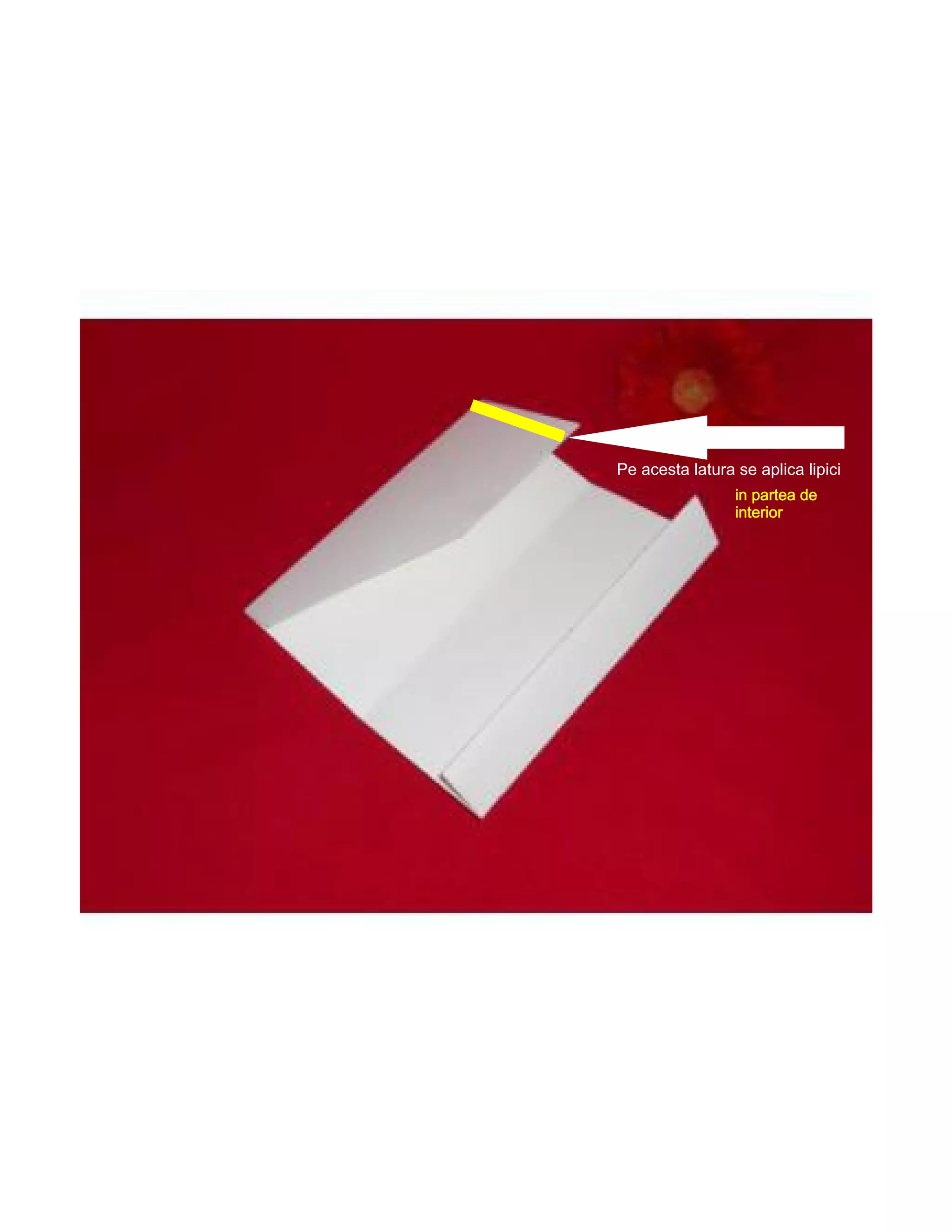 Lipire plic bani | PDF