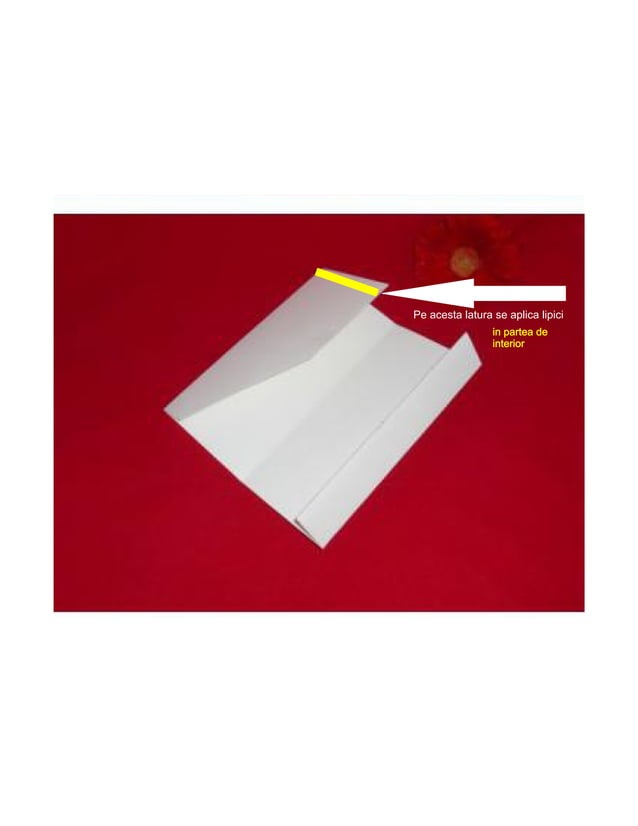 Lipire plic bani | PDF