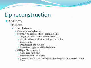 Lip n cheek recons | PPTX