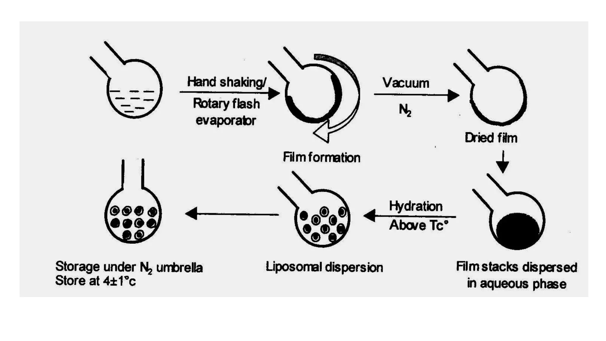 Liposomes - Targeted drug delivery system | PPTX