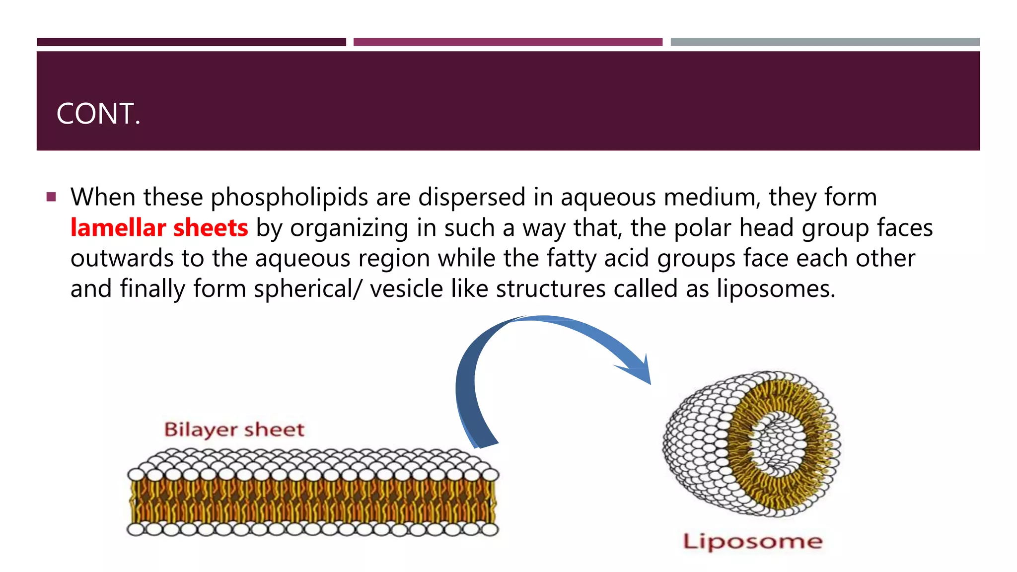 Liposomes - Targeted drug delivery system | PPTX