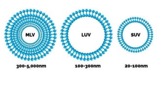 Liposomes - Targeted drug delivery system | PPTX