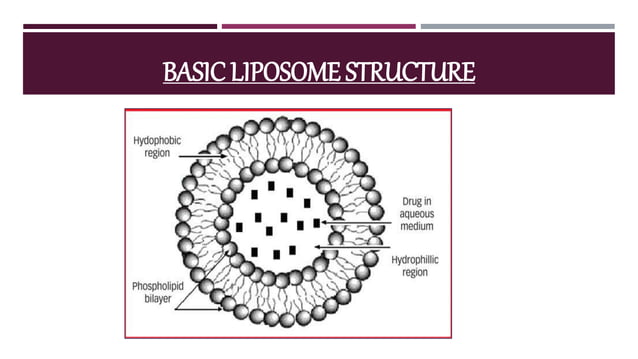 Liposomes - Targeted drug delivery system | PPTX