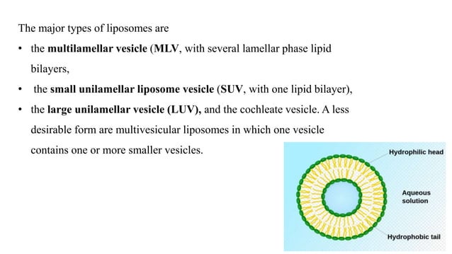 Liposomal Formulation By Factorial Design Approach By Pranav Lendhey Ppt