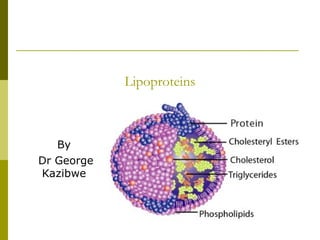 LIPO-PROTEINS, STRUCTURE ABD FUNCTION pptx | PPT
