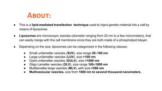Lipofection | PPTX | Genetics | Science