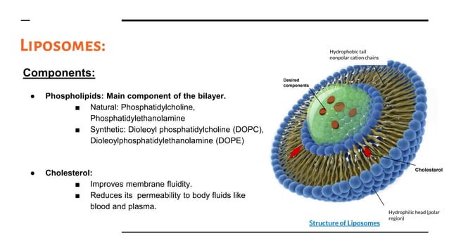 Lipofection | PPTX | Genetics | Science