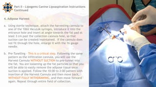 Lipocast Biotech UK Lipogems Canine Standard Operating Procedure v1 | PDF