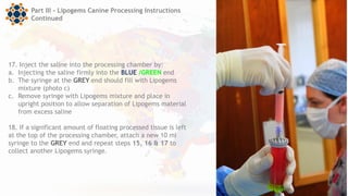 Lipocast Biotech UK Lipogems Canine Standard Operating Procedure v1 | PDF