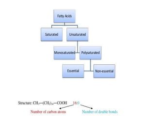 Lipogenesis | PPT