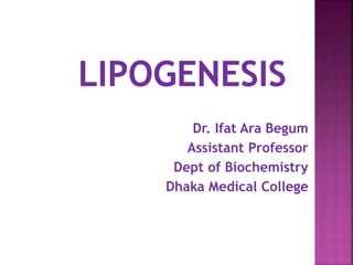 Lipogenesis