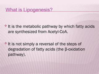 Lipogenesis_ BIOCHEMISTRY, BSED SCIENCE student | PPTX