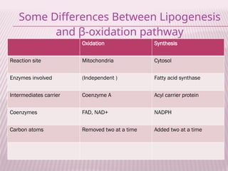 Lipogenesis_ BIOCHEMISTRY, BSED SCIENCE student | PPTX