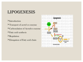 Lipogenesis_Presentation a biochemistry topic | PPTX
