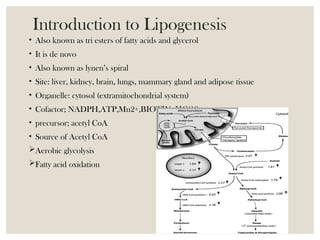 Lipogenesis_Presentation a biochemistry topic | PPTX