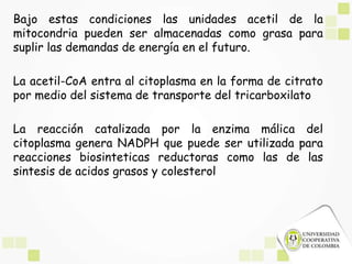 lipogenesiss.ppt