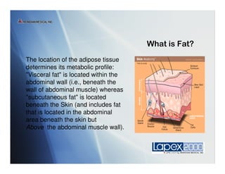 Lipo laser presentation | PDF | Endocrine and Metabolic Diseases ...