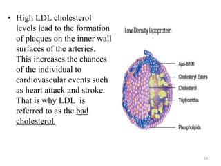 Lipopprotein by kk sahu | PPTX