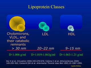 Lipoproteins | PPT