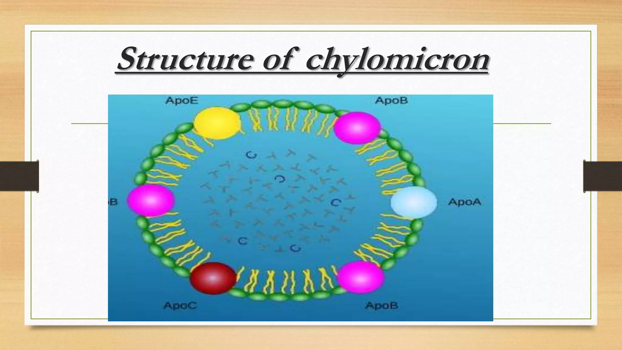 Lipoprotein | PPTX