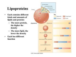 Lipoprotein | PPTX