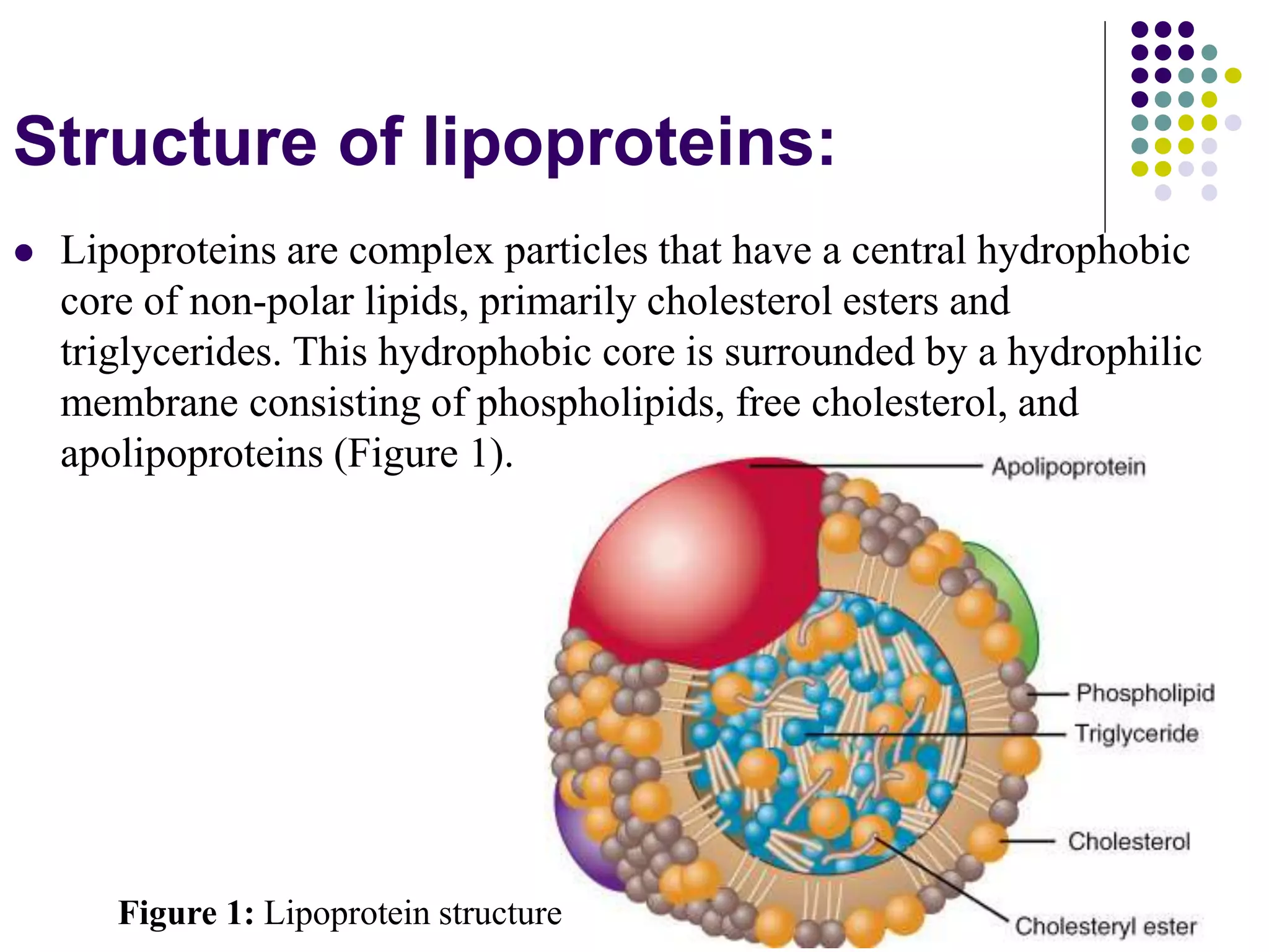 Lipoproteins | PPT