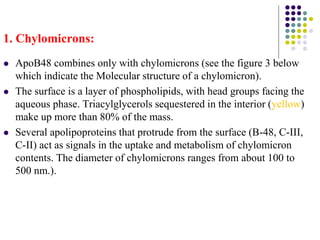 Lipoproteins | PPT