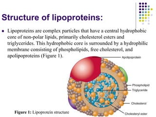 Lipoproteins | PPT