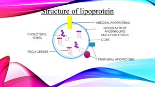 Lipoprotein and cholesterol | PPTX