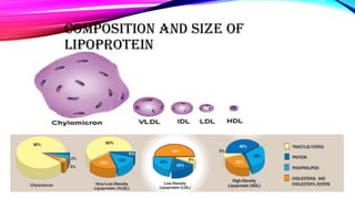 Lipoprotein and cholesterol | PPTX