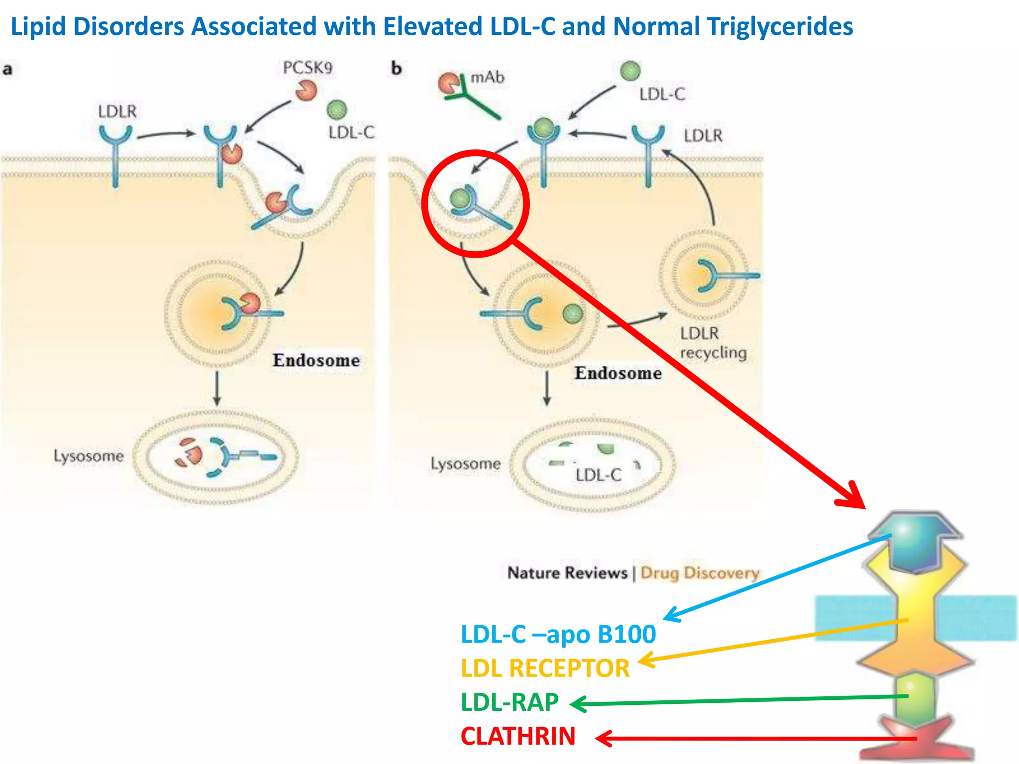 Disorders of Lipoprotein Metabolism | PPTX