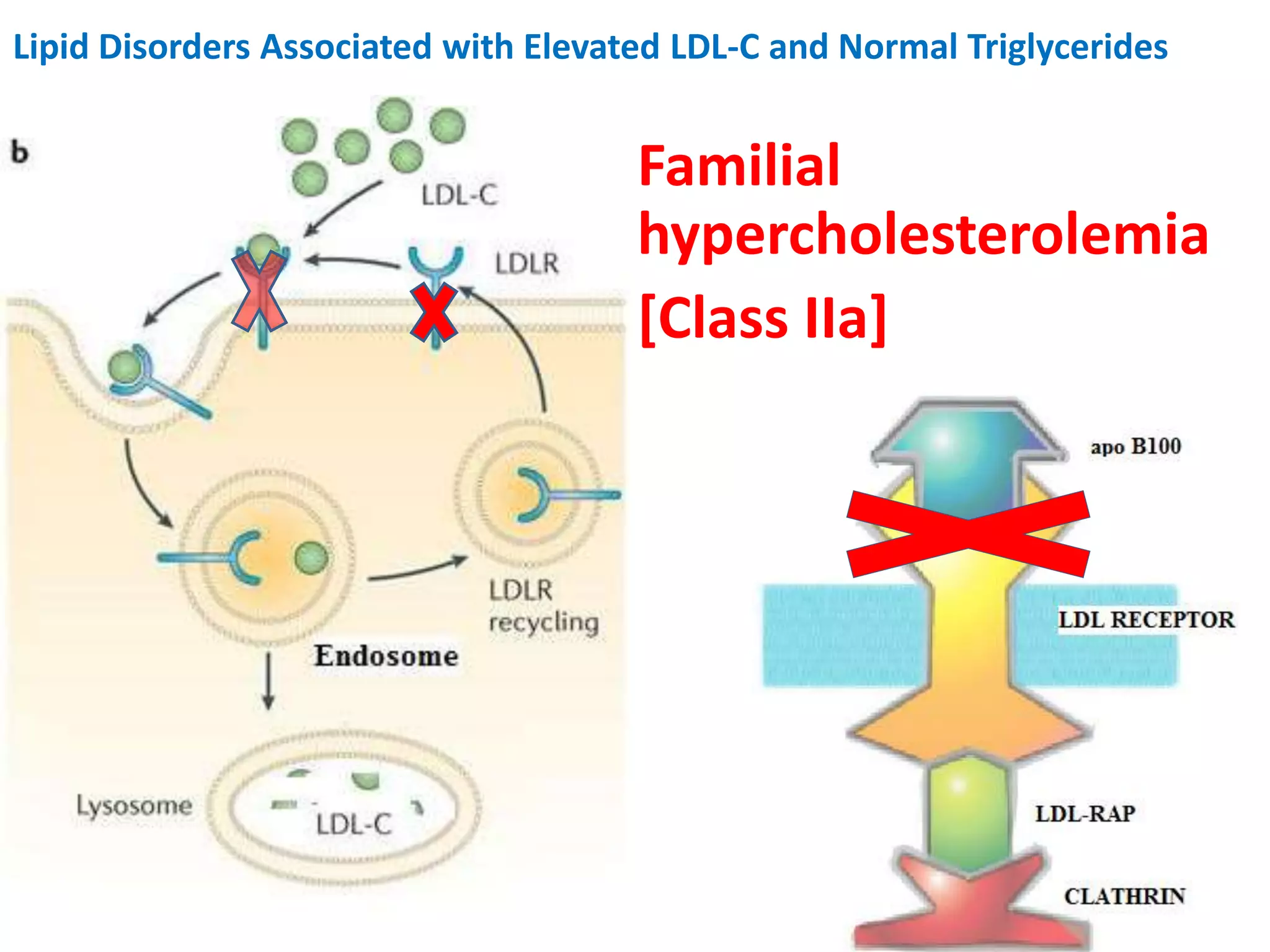 Disorders of Lipoprotein Metabolism | PPTX