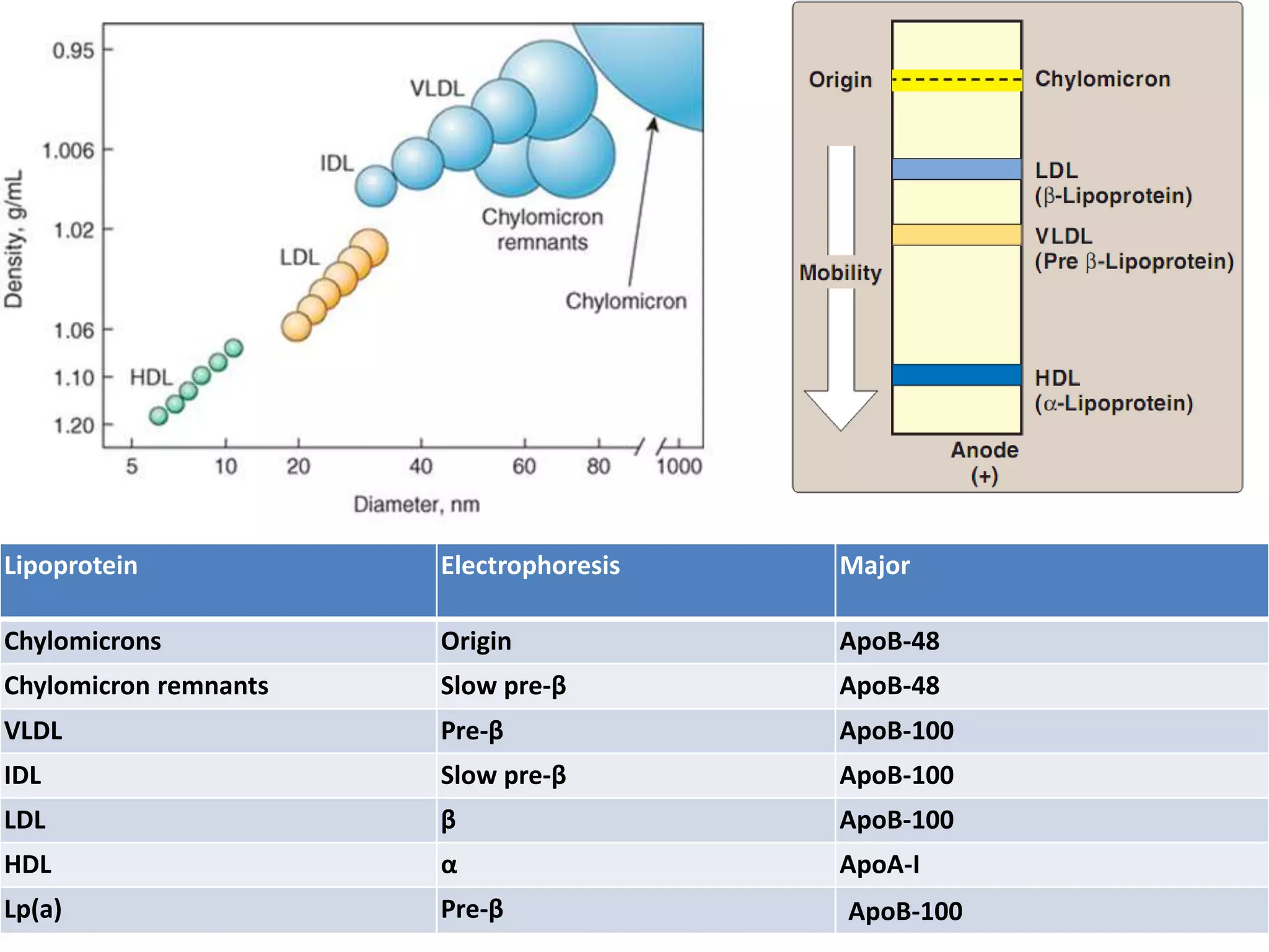 Disorders of Lipoprotein Metabolism | PPTX
